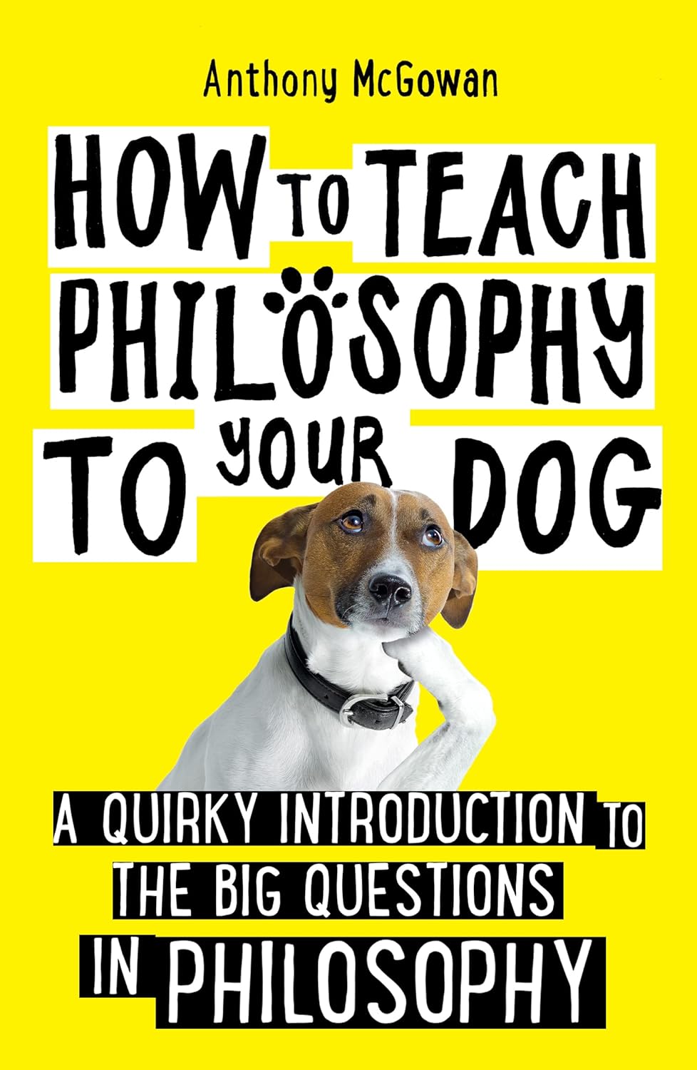 HOW TO TEACH PHILOSOPHY TO YOUR DOG – Furry's Kitchen